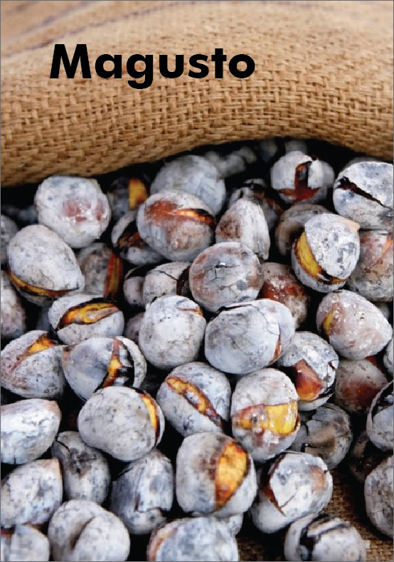 Tardes Comunitárias - Magusto partilhado